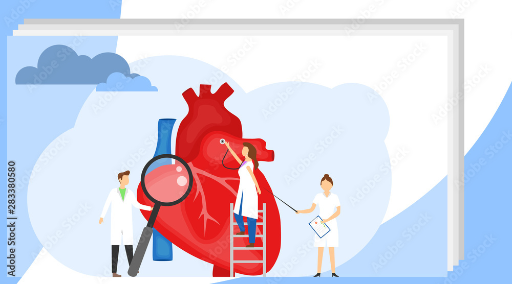 Doctors are examining the heart. Concept of medical examination of the ...