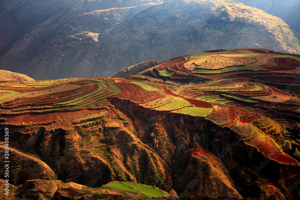 Dongchuan Red Earth Multi-Colored Terraces - Red Soil, Green Grass ...