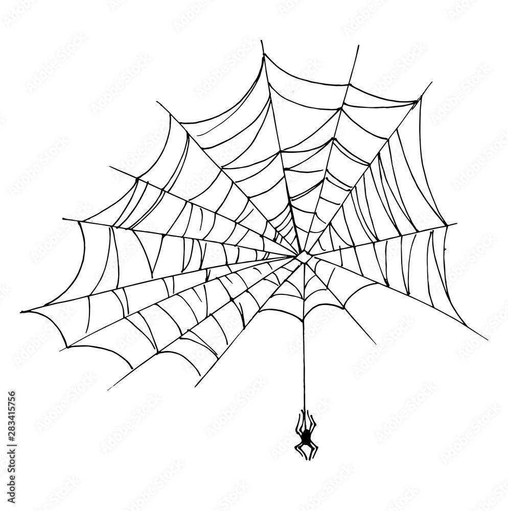 Sketch of spider web. Hand drawn outline with transperent background ...