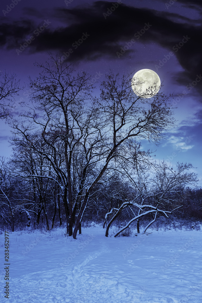 Beautiful Sceneries Of Nature At Night