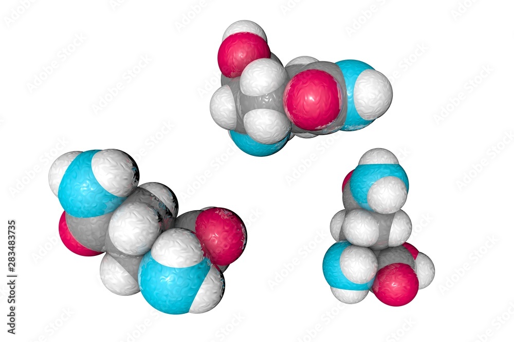 Space-filling molecular model of L-glutamine. Atoms are represented as ...