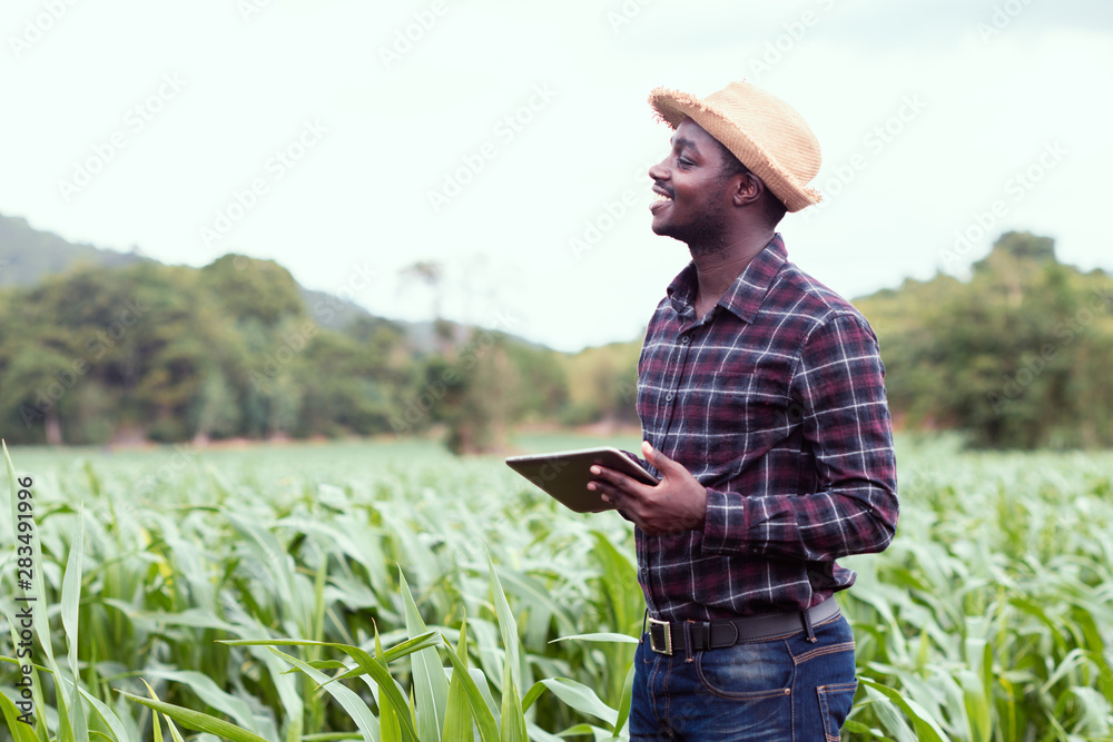 African Farmer stand in the green farm with holding tablet Stock Photo ...