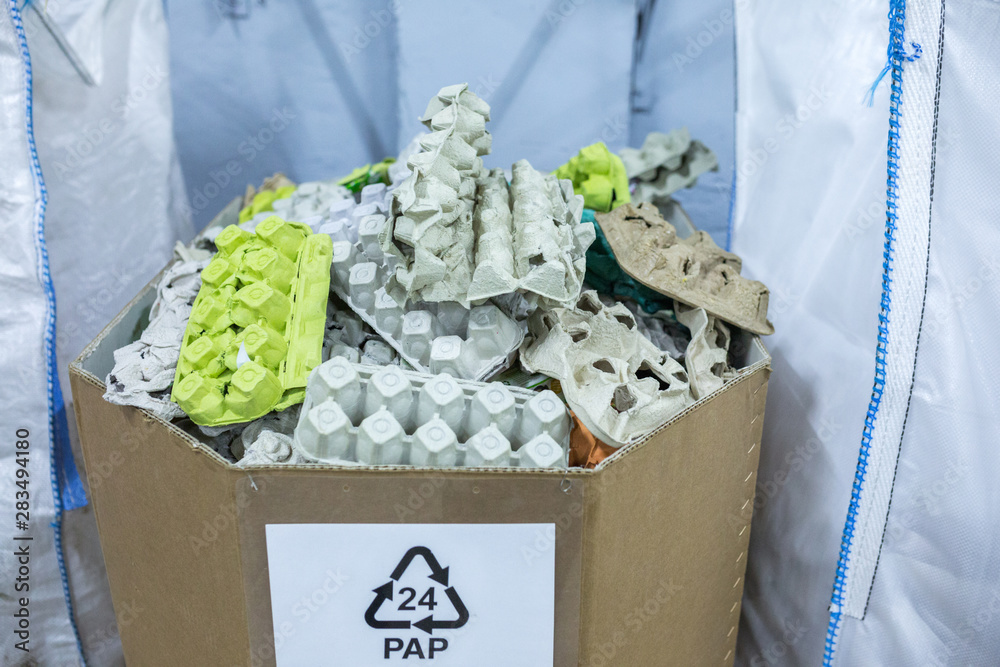 Sorting recyclables. The sorted papier mache - paper pulp egg trays ...