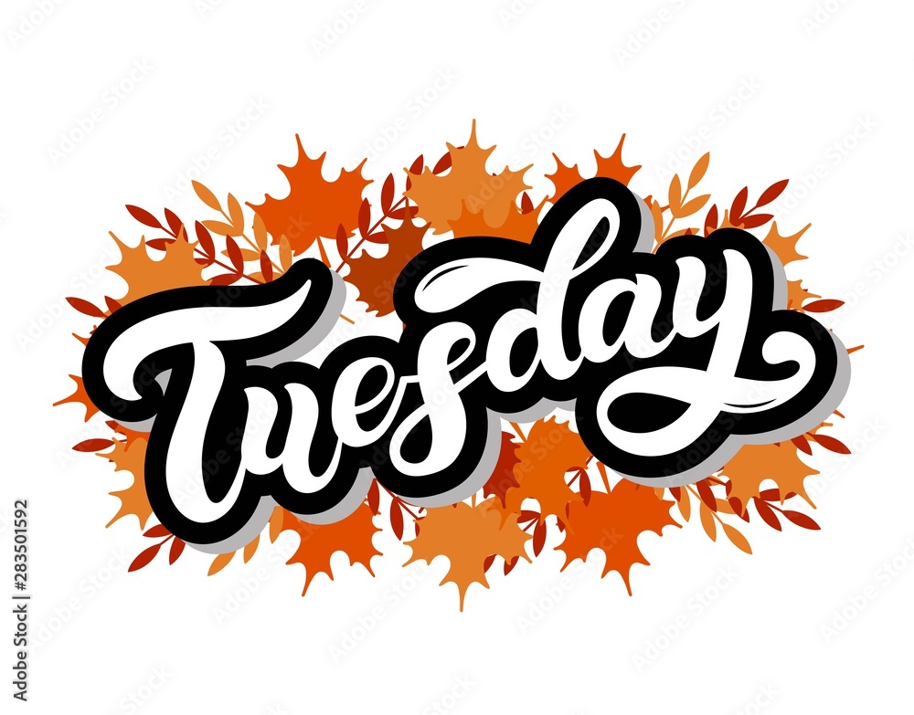 Tuesday. Day of the week. Hand drawn lettering. Vector illustration ...