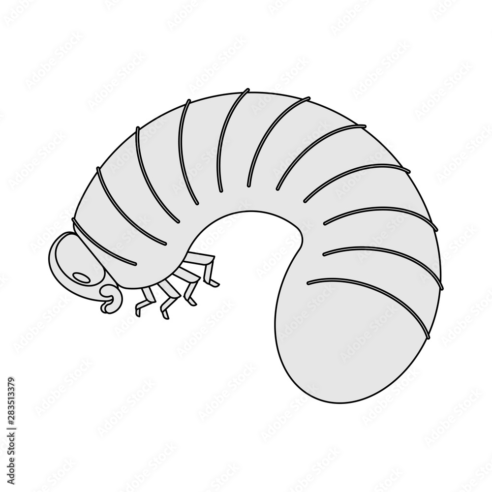 Beetle larva isolated. Bug caterpillar. Maggot vector illustration ...