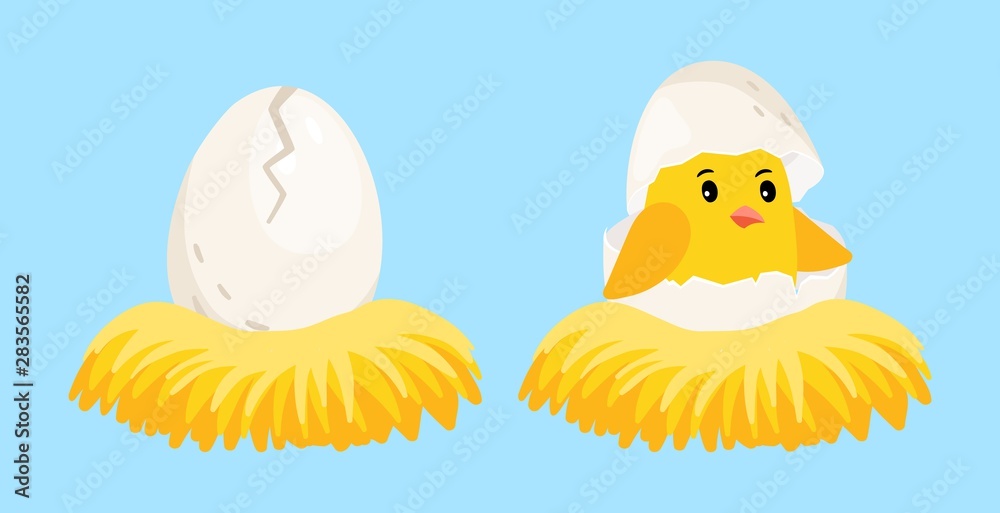Duck Eggs Hatching Cartoon