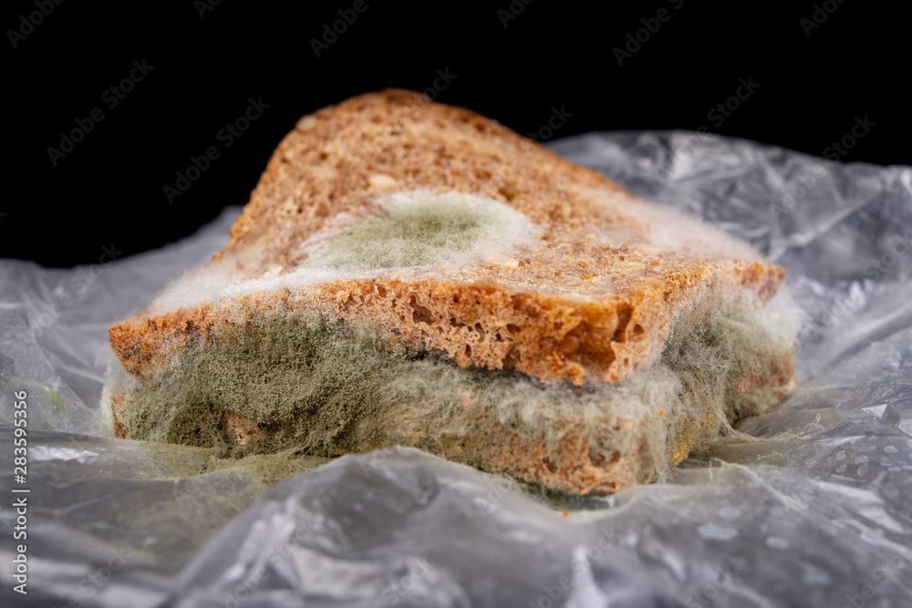 Moldy sandwich with smoked meat in a plastic bag. Dark bread with ...