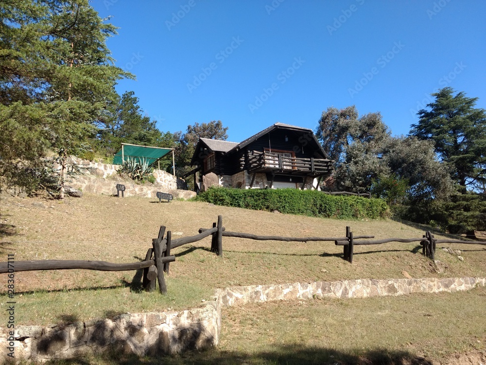 Primeros planos y paisajes naturales Stock Photo | Adobe Stock