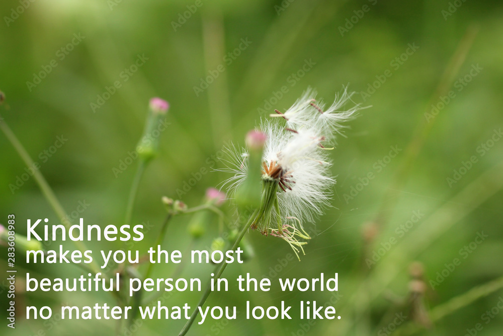 Inspirational Quote Kindness Makes You The Most Beautiful Person In
