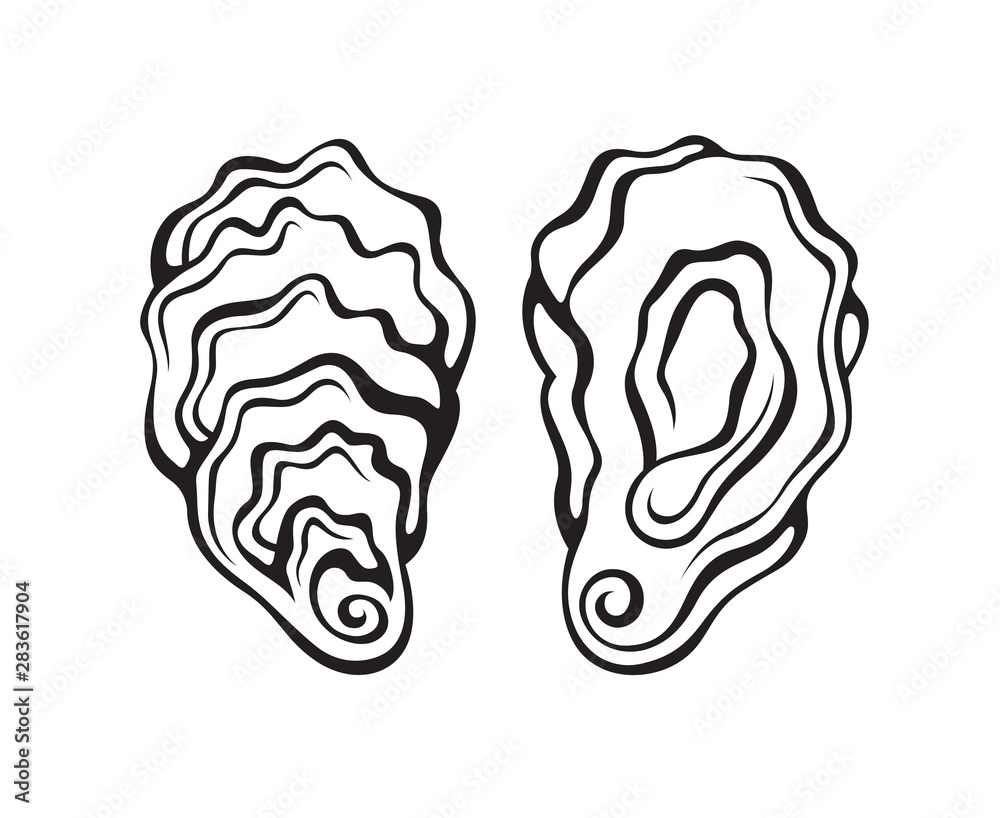 collection of oyster shell isolated on white background Stock Vector ...