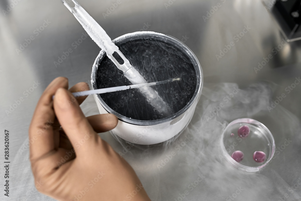Process of in vitro fertilization in laboratory Stock Photo | Adobe Stock