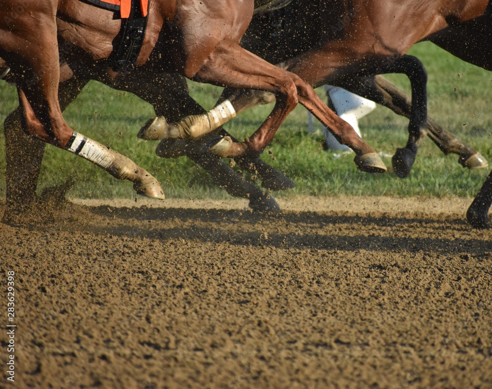 Horse feet galloping on dirt racetrack Stock Photo | Adobe Stock