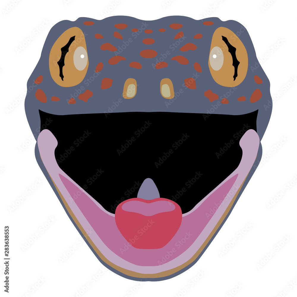 Stylized funny face of a gecko. Flat cartoon style. Isolated vector ...