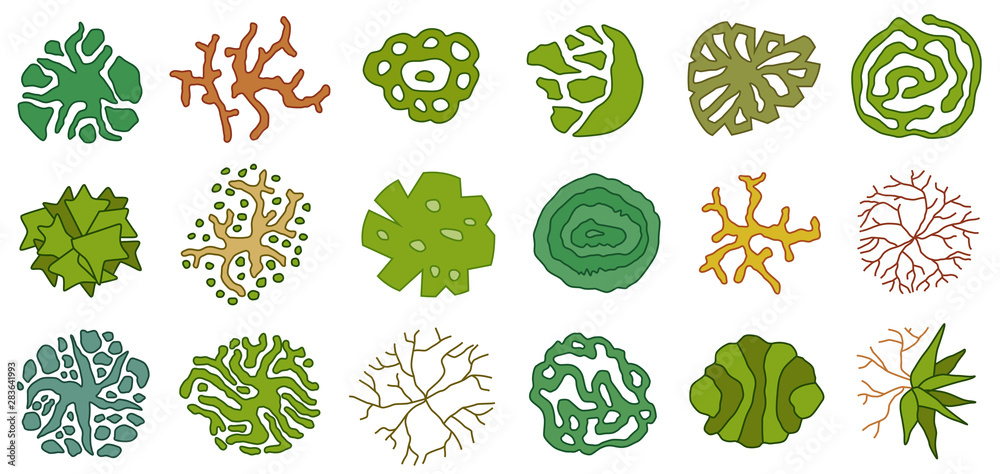 Trees top view. Different icon of plants and trees for architectural or ...