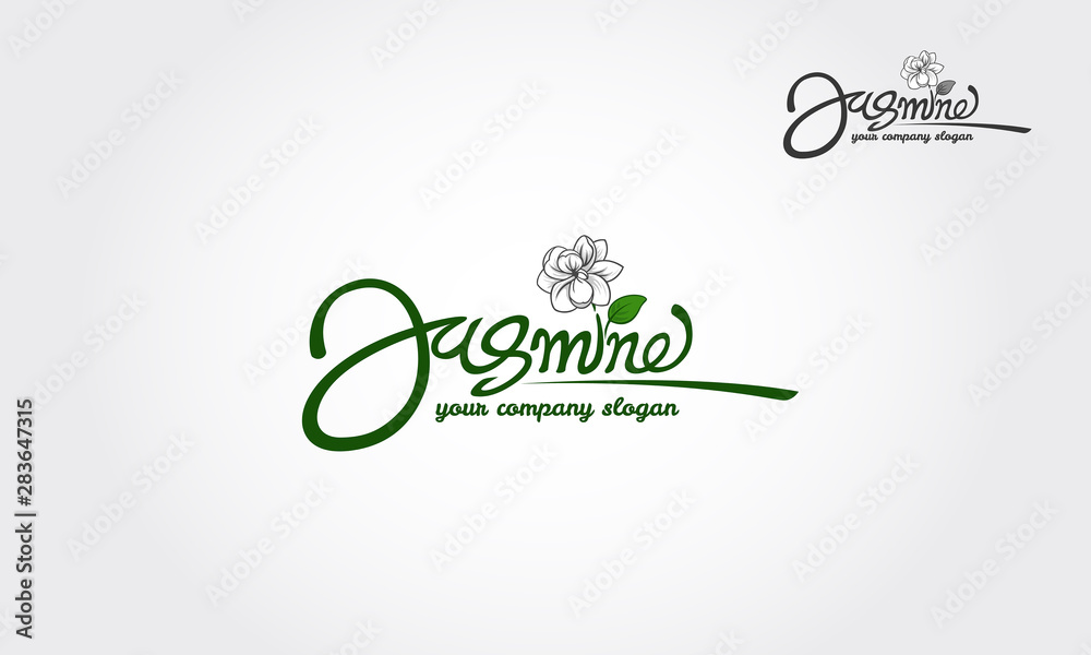 Vetor de Jasmine is a simple font for beautiful logo design. A luxury ...