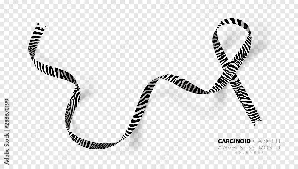 Carcinoid Cancer Awareness Month. Zebra Stripe Color Ribbon Isolated On ...