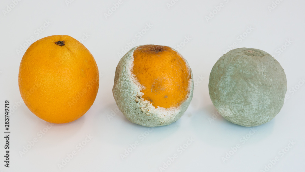 Decompose Fruit