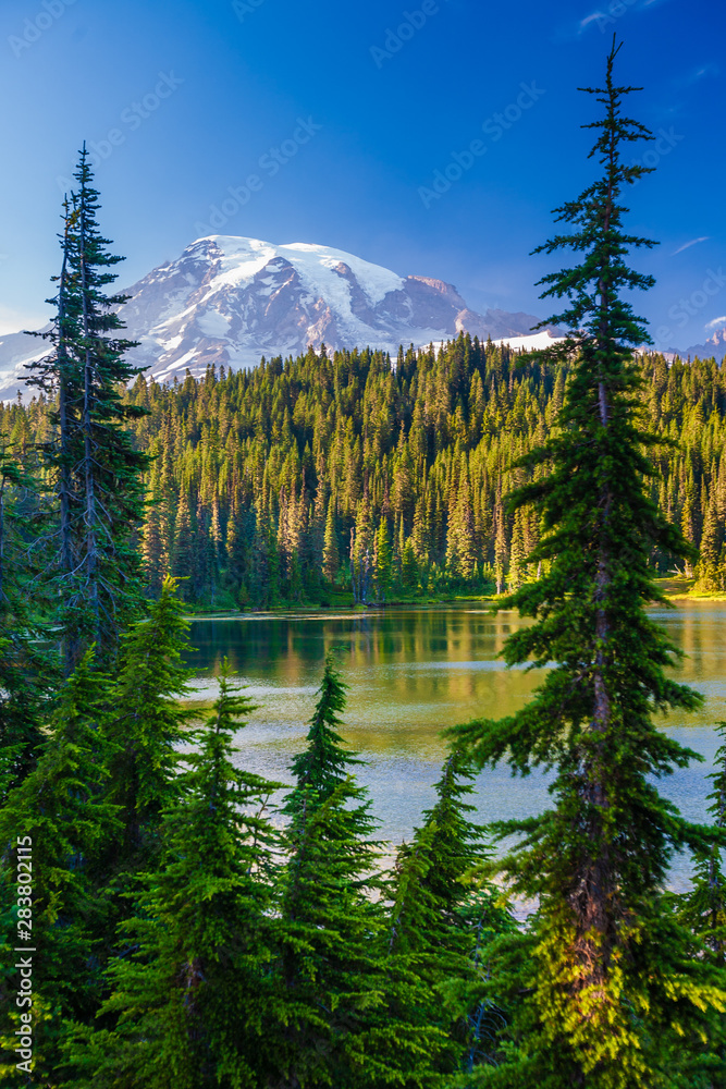 Overlooking a lake and a forest of pine trees with Mt. Rainier looming ...