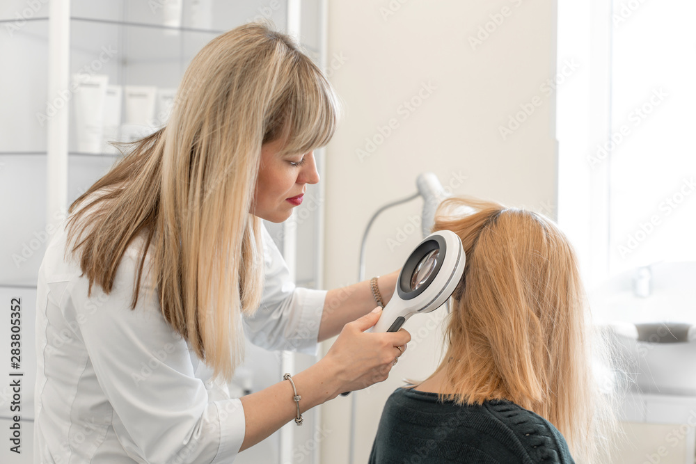 The doctor trichologist dermatologist examines the scalp and the ...