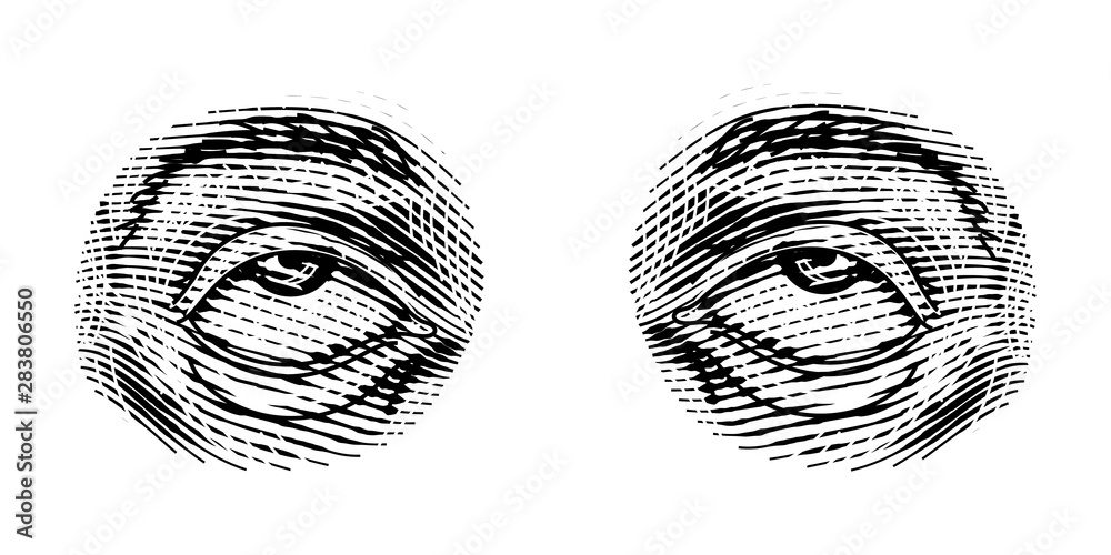 Human eyes Eyes look up in vintage style. Female look and eyebrows ...
