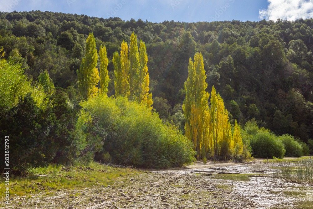 Autumn colors in the Andes mountains in Los Alerces National Park ...