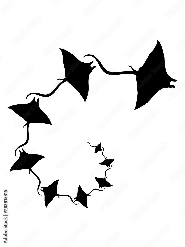 viele stachelrochen muster spirale schwimmen tauchen silhouette umriss ...