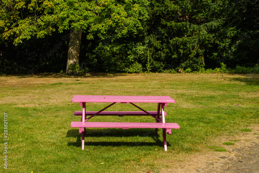 Bancos de jardim em um parque arborizado ótimo para descanso, ao redor ...