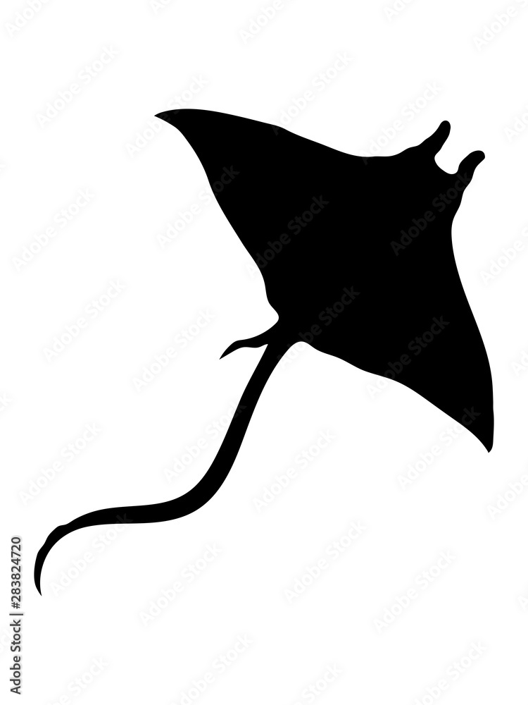 stachelrochen schwimmen tauchen silhouette umriss rochen schön ...