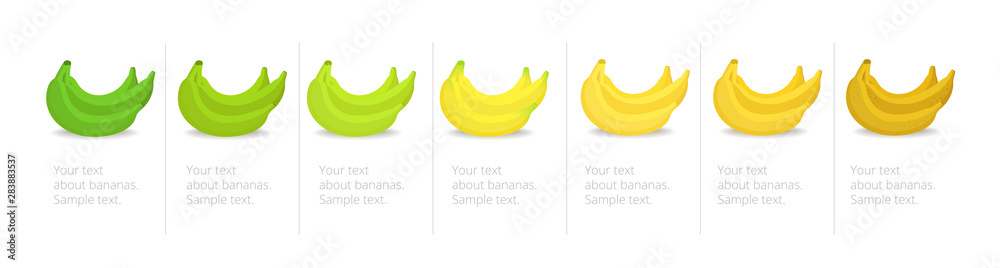 Banana ripeness stages infographics chart. Bunch of bananas colour ...