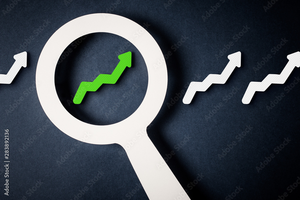 Checking chart with magnifying glass ilustração do Stock | Adobe Stock