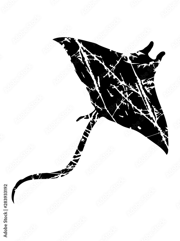 kratzer risse used stachelrochen schwimmen tauchen silhouette umriss ...