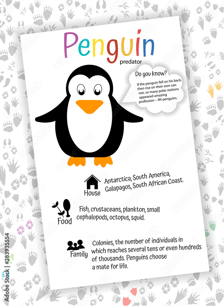 Cartoon penguin on background of animal tracks. Habitat, nutrition ...