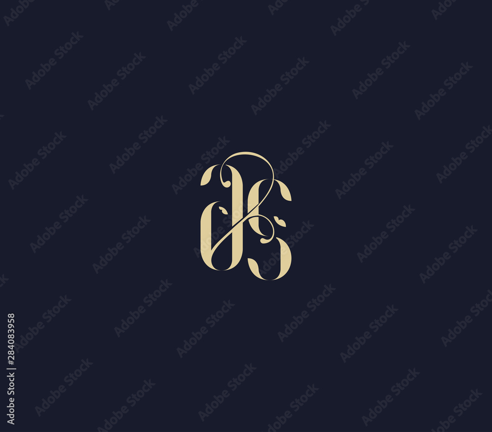 letter A S logo. luxury lettr AS logo design element. Stock Vector ...