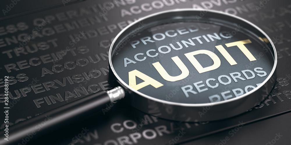 Financial Auditing Concept. Stock Illustration | Adobe Stock