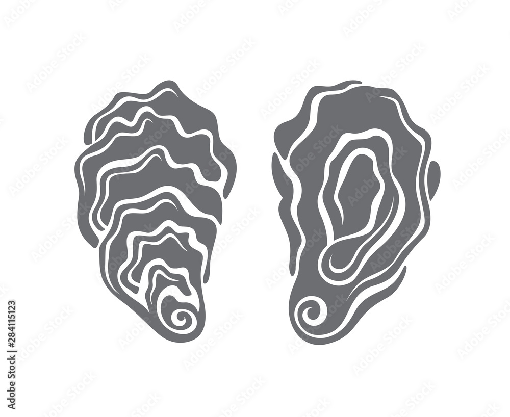 collection of oyster shell isolated on white background Stock Vector ...