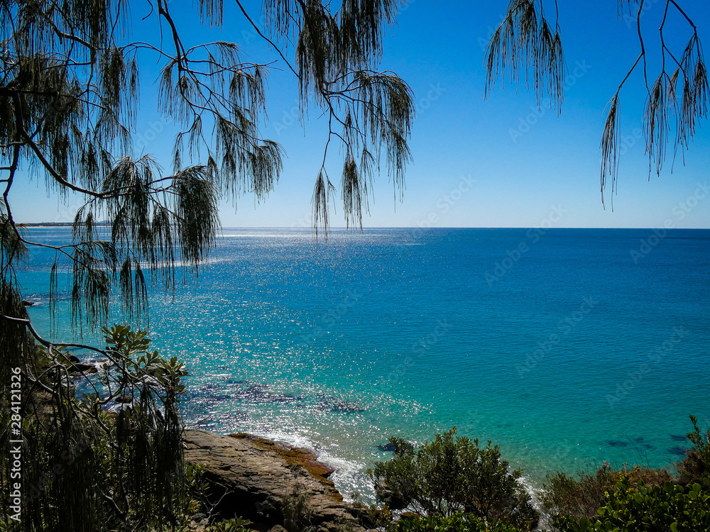 Foto Stock Wispy tree leaves and vivid blue ocean under a cloudless ...