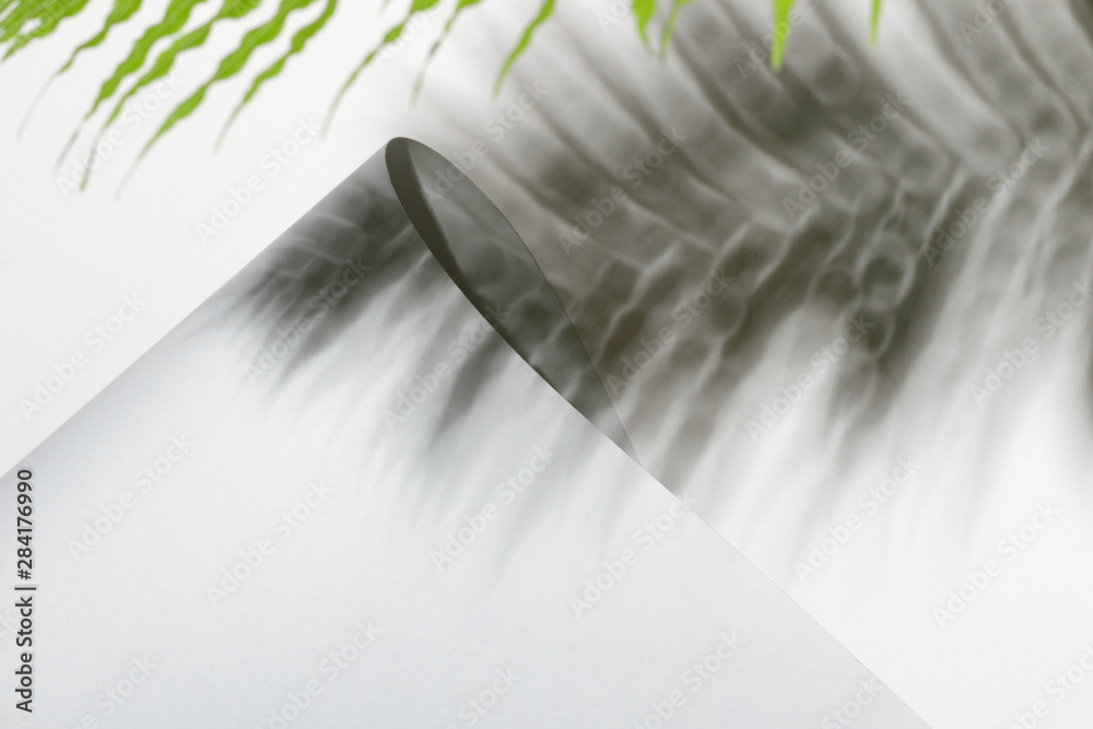 Folded paper and fern leaf Stock Photo | Adobe Stock