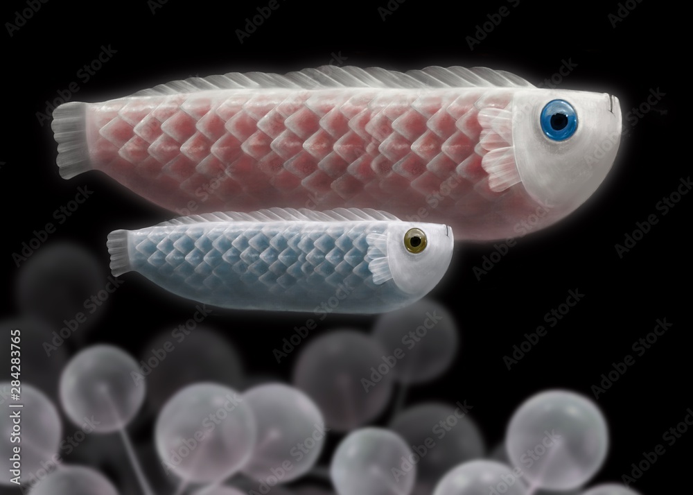 Fantasy scene mother fish with baby fish underwater, painting ...