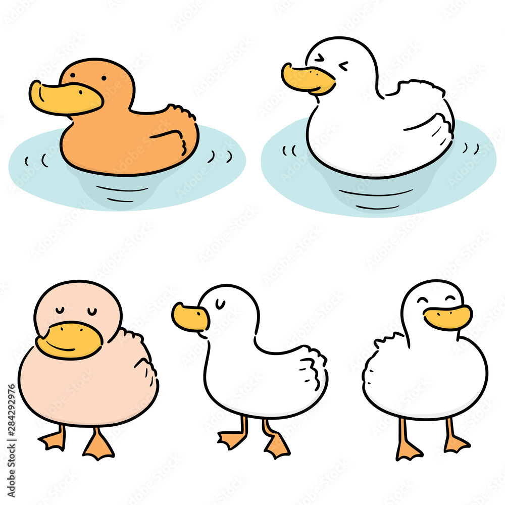 vector set of duck Stock Vector | Adobe Stock