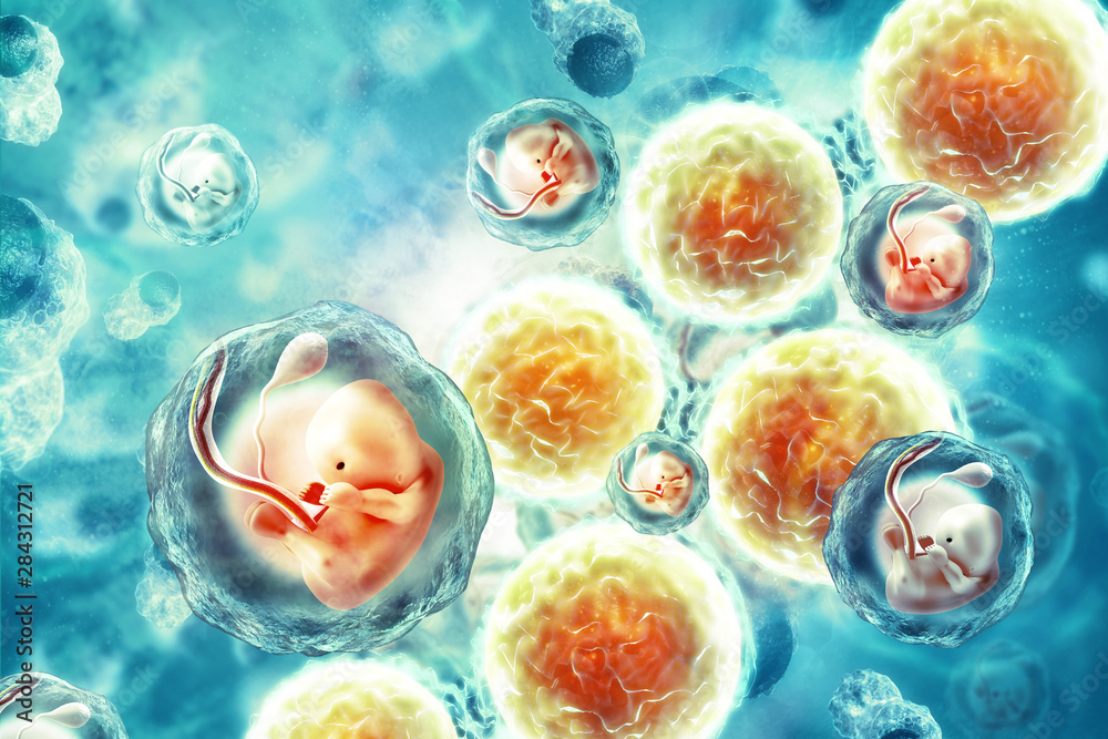 Human fetus on scientific background Stock Illustration | Adobe Stock