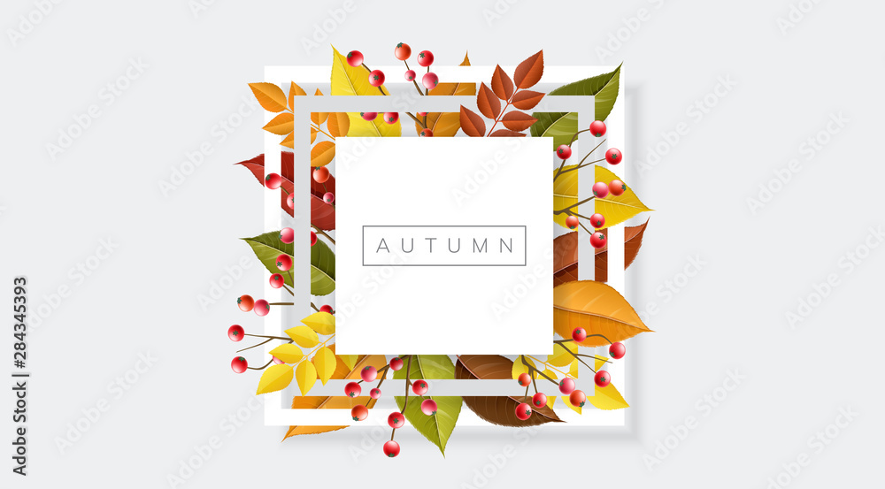 Minimal square autumn frame with colorful leaf and red berry branch ...