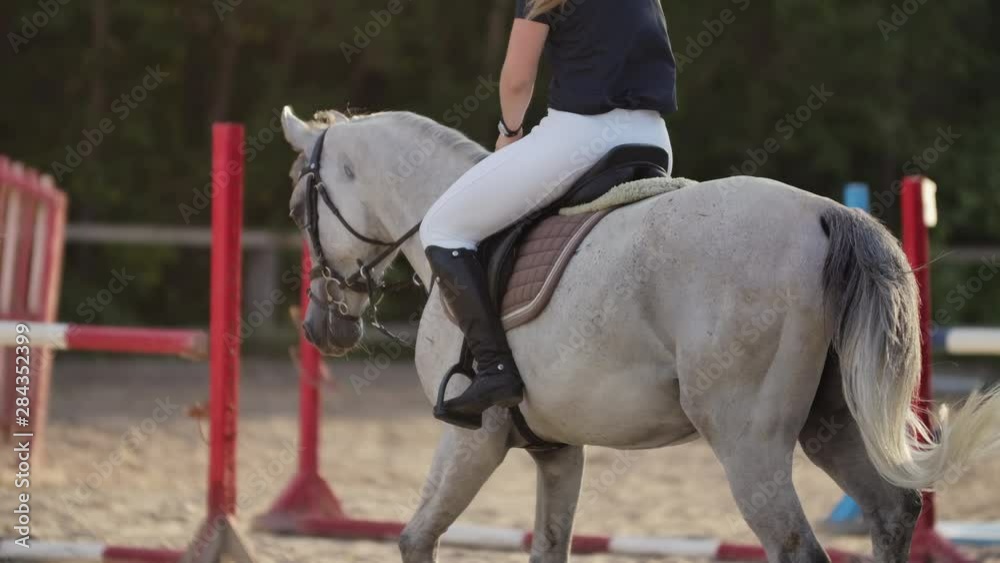 Back view of rider on a horse. Back view of a rider with a horse slow ...