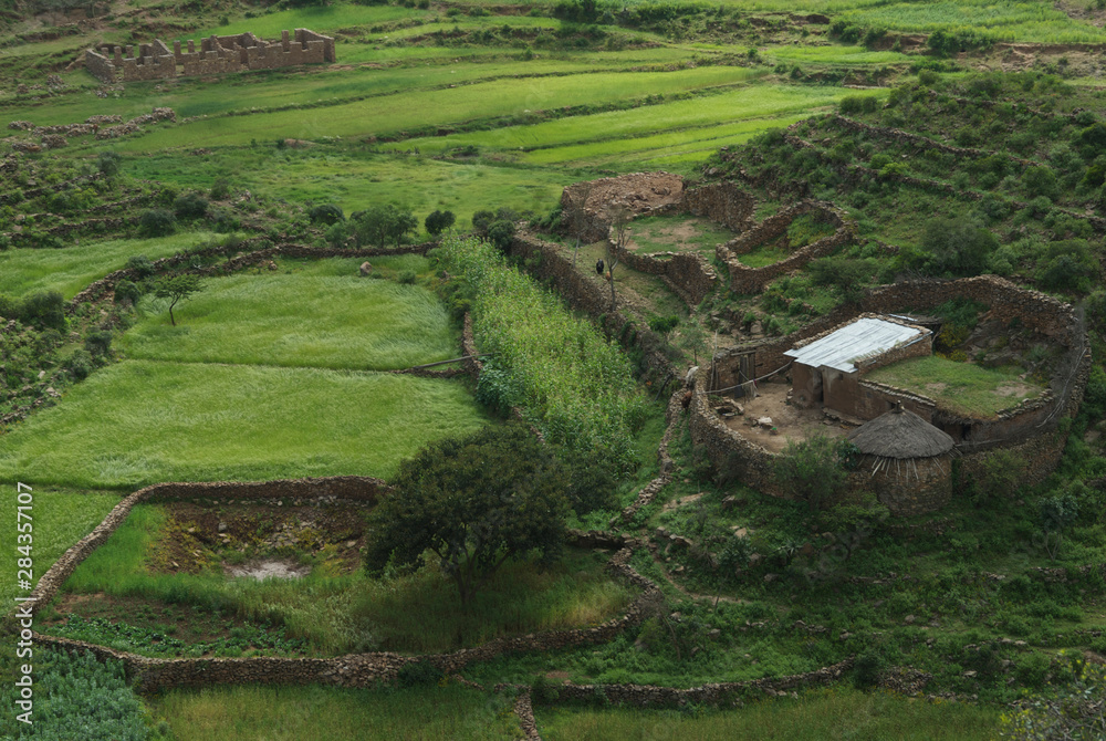 Ethiopia: Tigray Region, in Adwa Mountains, valley with fileds of teff ...