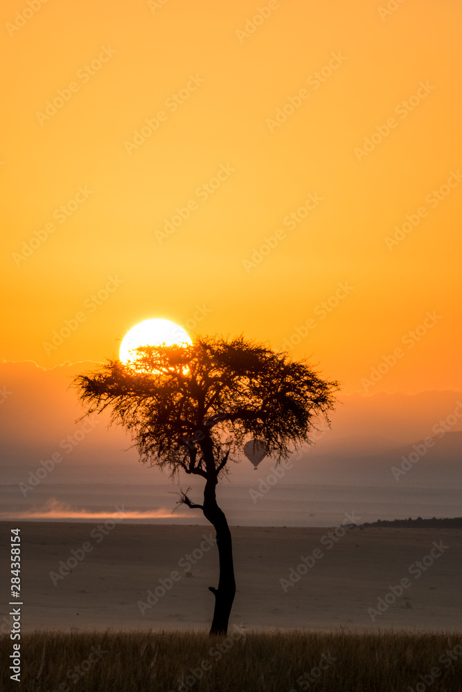 Foto de East Africa, Kenya, Maasai Mara National Reserve, Mara ...