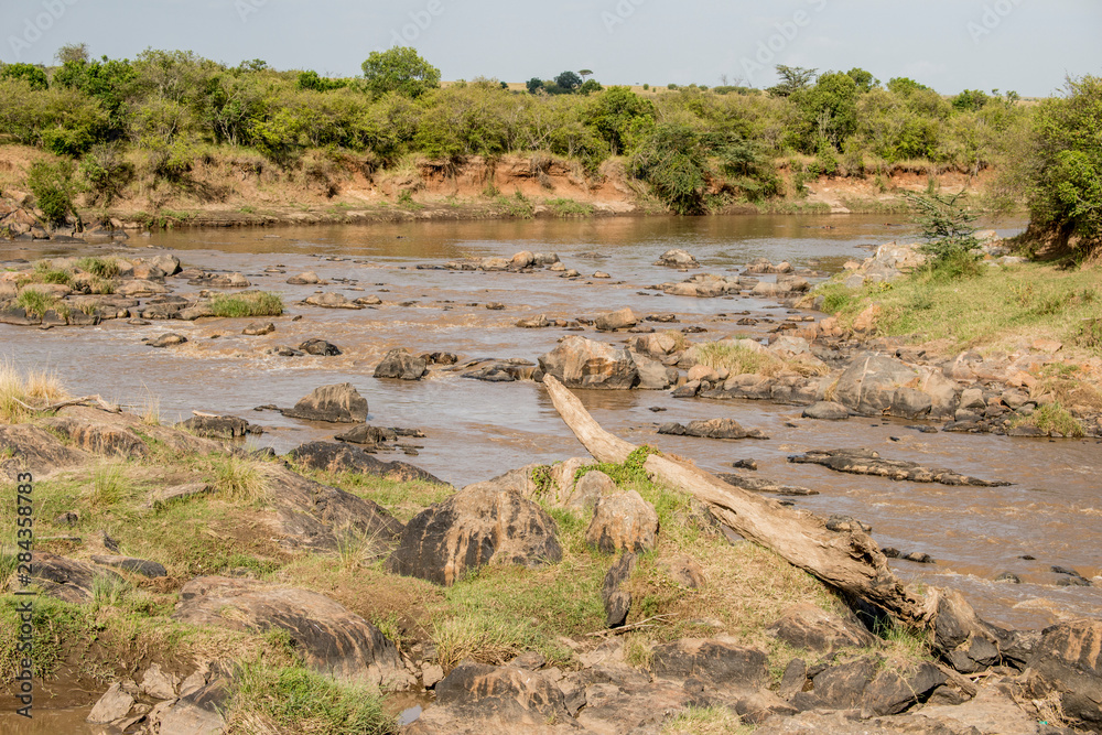 East Africa, Kenya, Maasai Mara National Reserve, Mara Conservancy ...