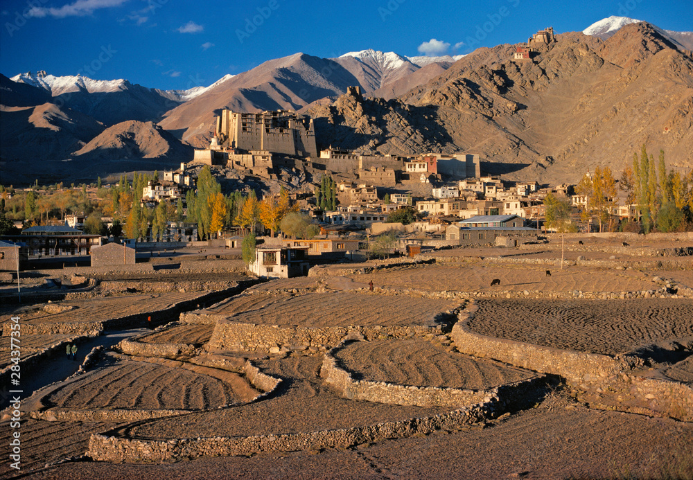 Asia, India, Ladakh, Leh. Leh, the main town in Ladakh, India, sit on a ...