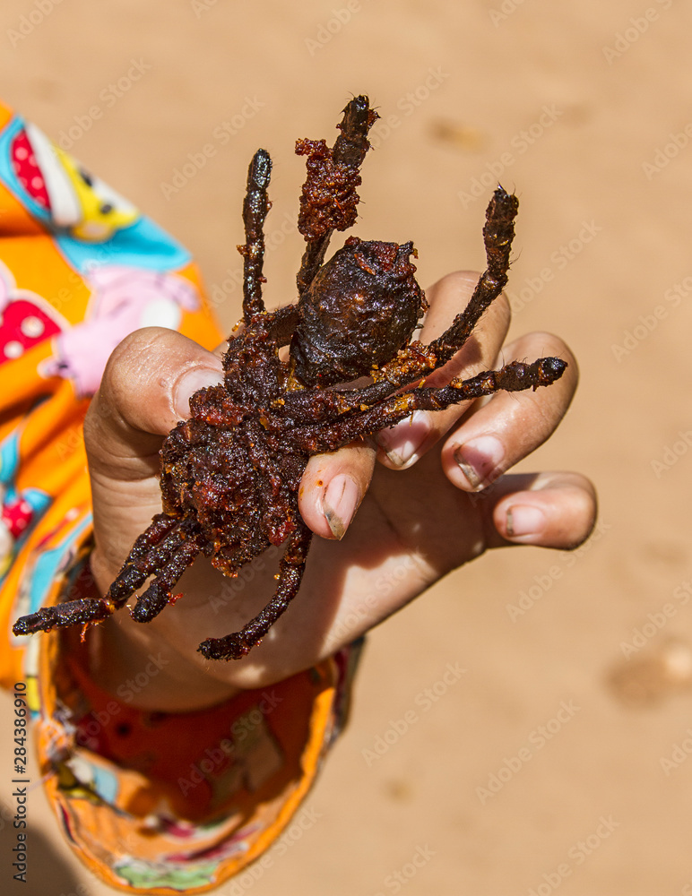 Cambodia. Breaded and deep fried tarantula for sale at Skuon, known ...