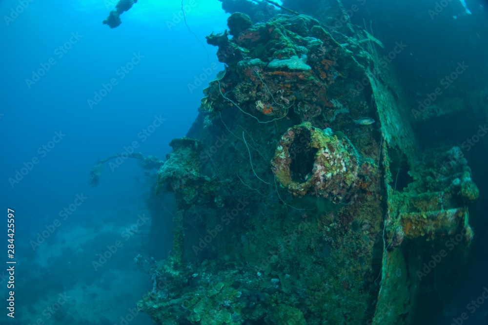 Japanese Teshio Maru Standard 1 V Freighter Wreck from WWII, Palau ...