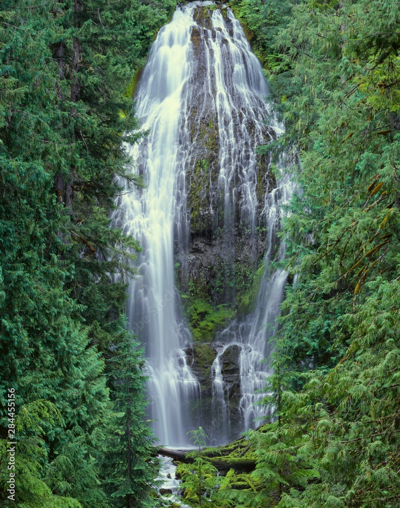 USA, Oregon, Willamette National Forest. Three Sisters Wilderness ...