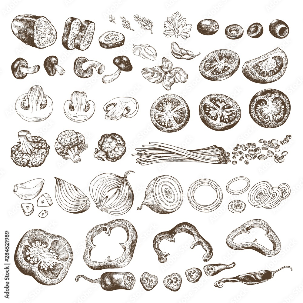 Collection of chopped vegetables, hand-drawn illustration vector ...